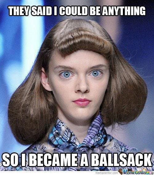 The Very Best of the They Said I Could Be Anything Meme