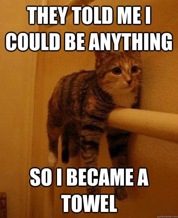 The Very Best of the They Said I Could Be Anything Meme