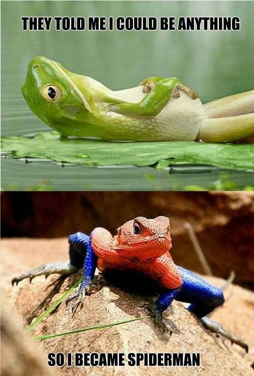 The Very Best of the They Said I Could Be Anything Meme