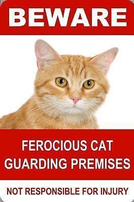 22 Funny "Beware of Cat" Signs to be Taken Seriously
