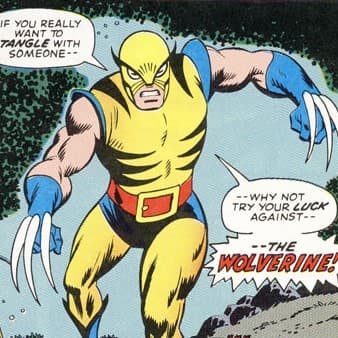 Wolverine Costumes | Best Wolverine Outfit