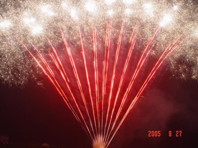 Best Kinds of Fireworks | List of the Most Awesome Fireworks