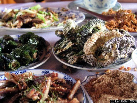 Most Disgusting Meats | List of Gross Meat-Based Foods