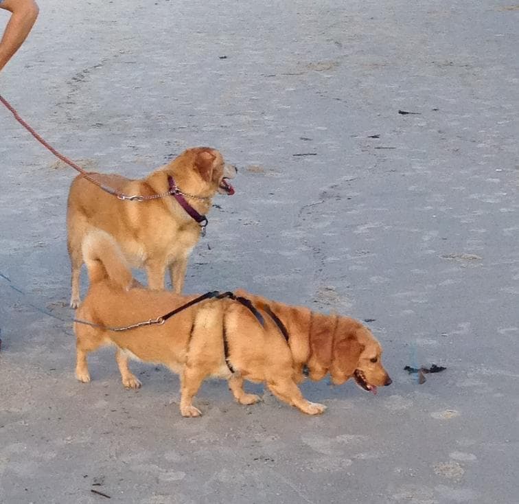 Panoramic Photo FAILs | List of Funny Panorama Picture FAILs