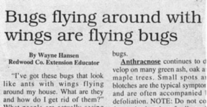 11 Crazy Headlines That Will Make You Be Like Whoa
