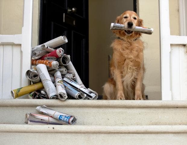 The 20 Worst Types of Neighbors of All Time, Ranked