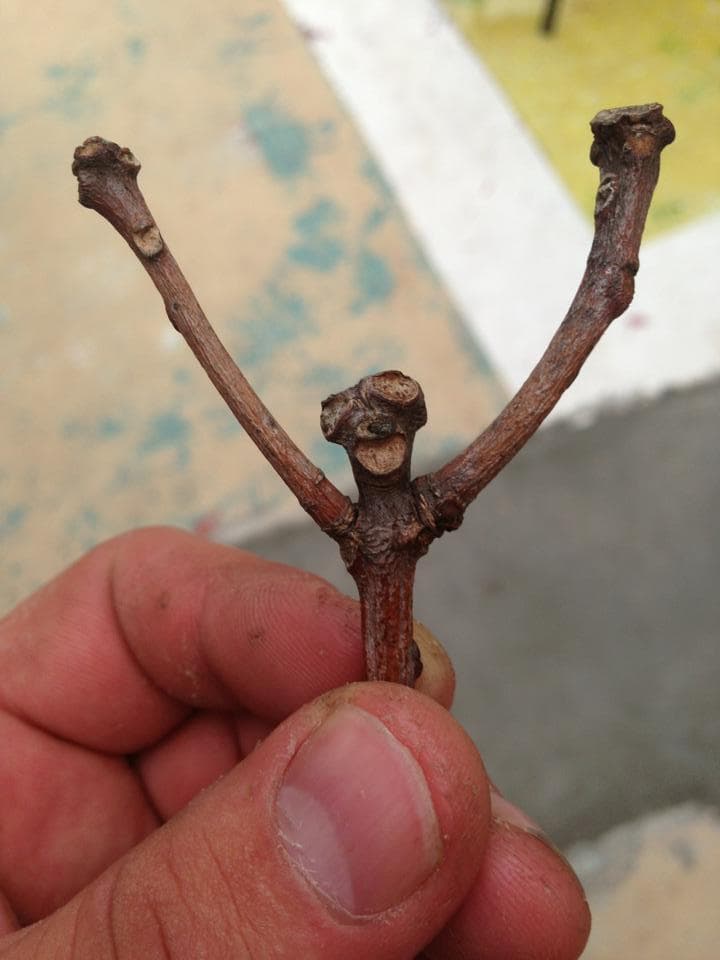 Things That Look Happy | Objects That Are Smiling