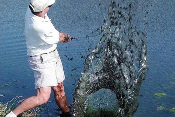 Things That Look Evil | Gallery of Scary Looking Objects