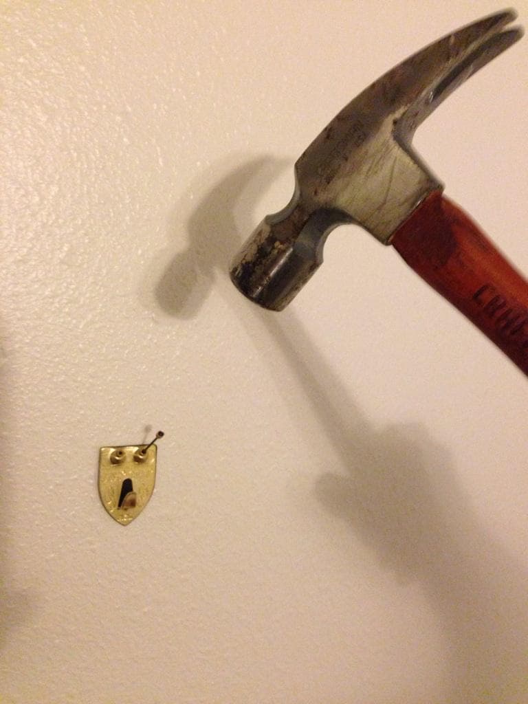 Things That Look Scared | Funny Pictures of Terrified Objects