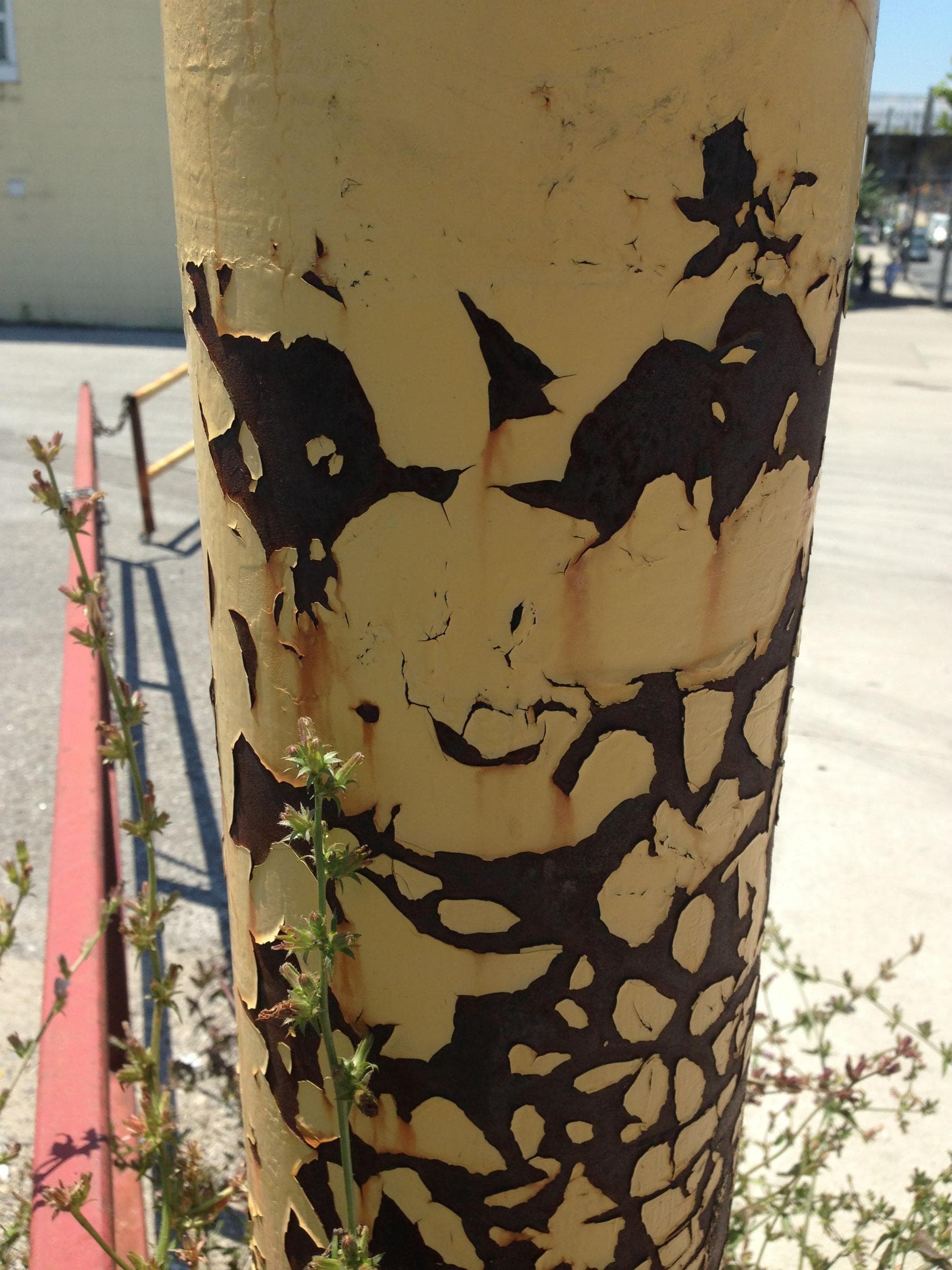 Things That Look Evil | Gallery of Scary Looking Objects