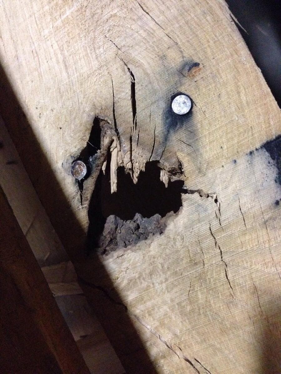 Things That Look Evil | Gallery of Scary Looking Objects