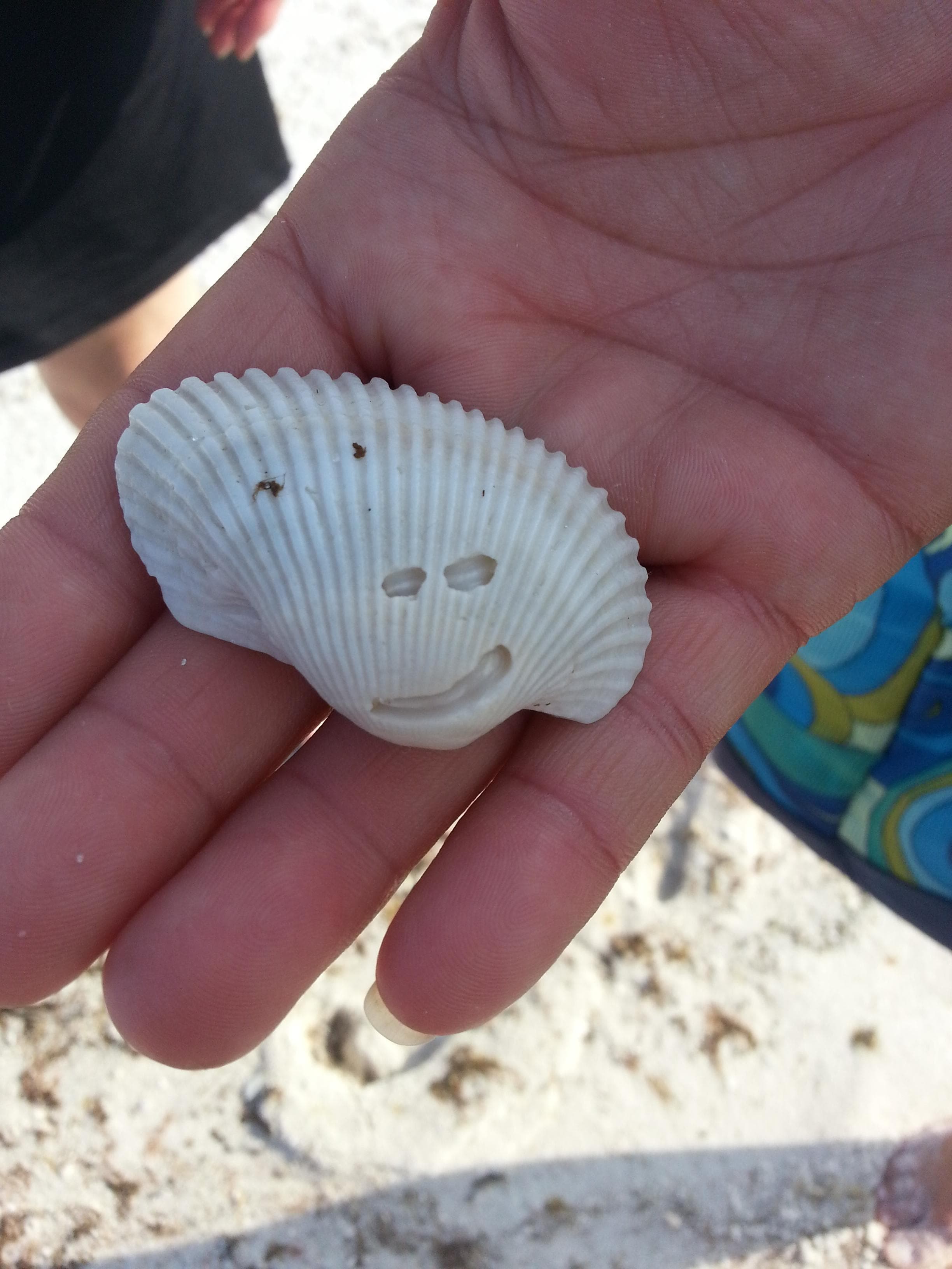 Things That Look Happy | Objects That Are Smiling