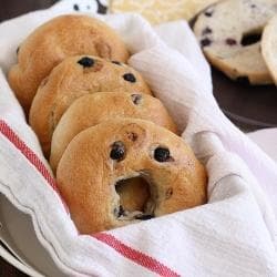 Things That Look Scared | Funny Pictures of Terrified Objects