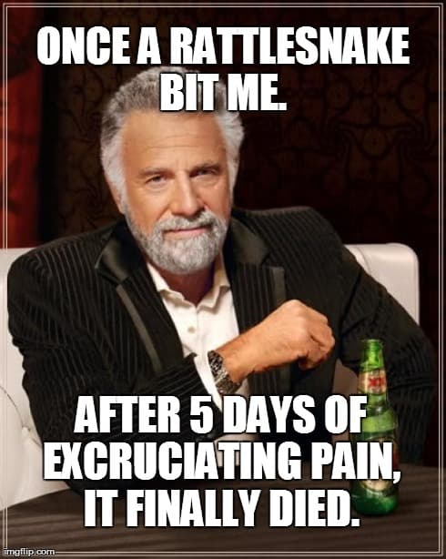 Most Interesting Man in the World Quotes