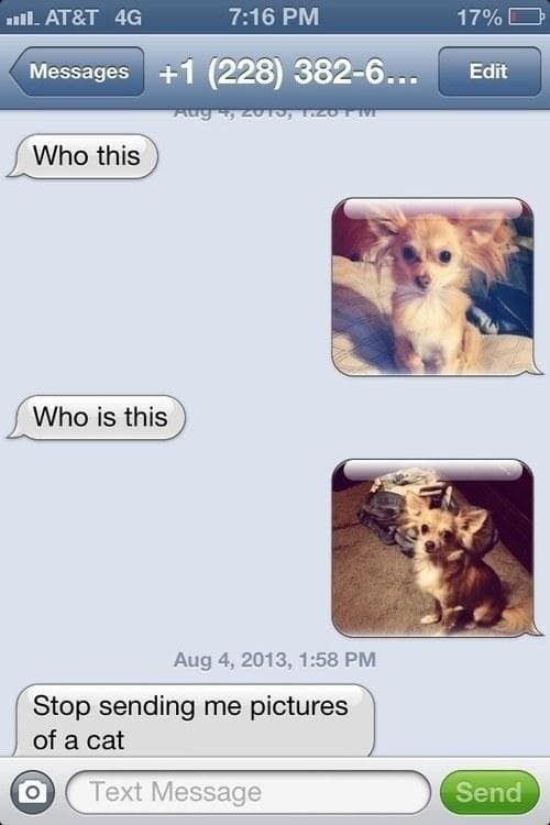 Funny Wrong Number Texts | Funniest Messages Sent To The Wrong People