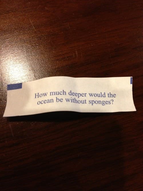 Funny Fortune Cookie Fails | Worst Fortunes in Cookies