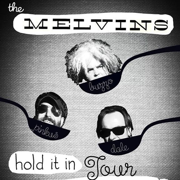 All Melvins Albums Ranked Best To Worst By Fans