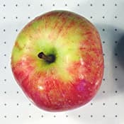 The Coolest Apple Names