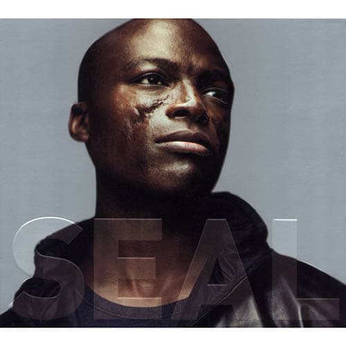 The Best Seal Albums, Ranked By Fans