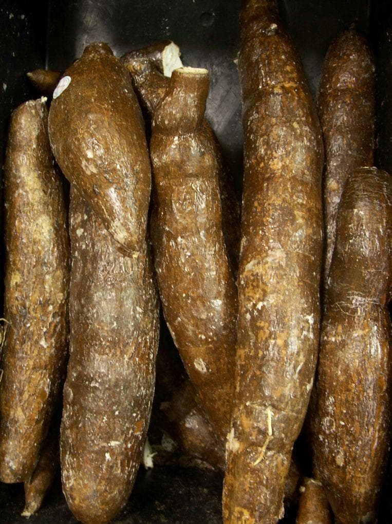 Foods That Could Kill You - Ranked