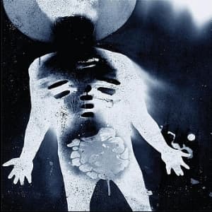 List of All Top UNKLE Albums, Ranked