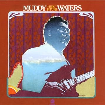 The Best Muddy Waters Albums, Ranked By Fans