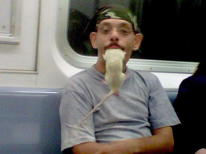 25 Funny Pictures of People Riding and Sleeping on the Subway