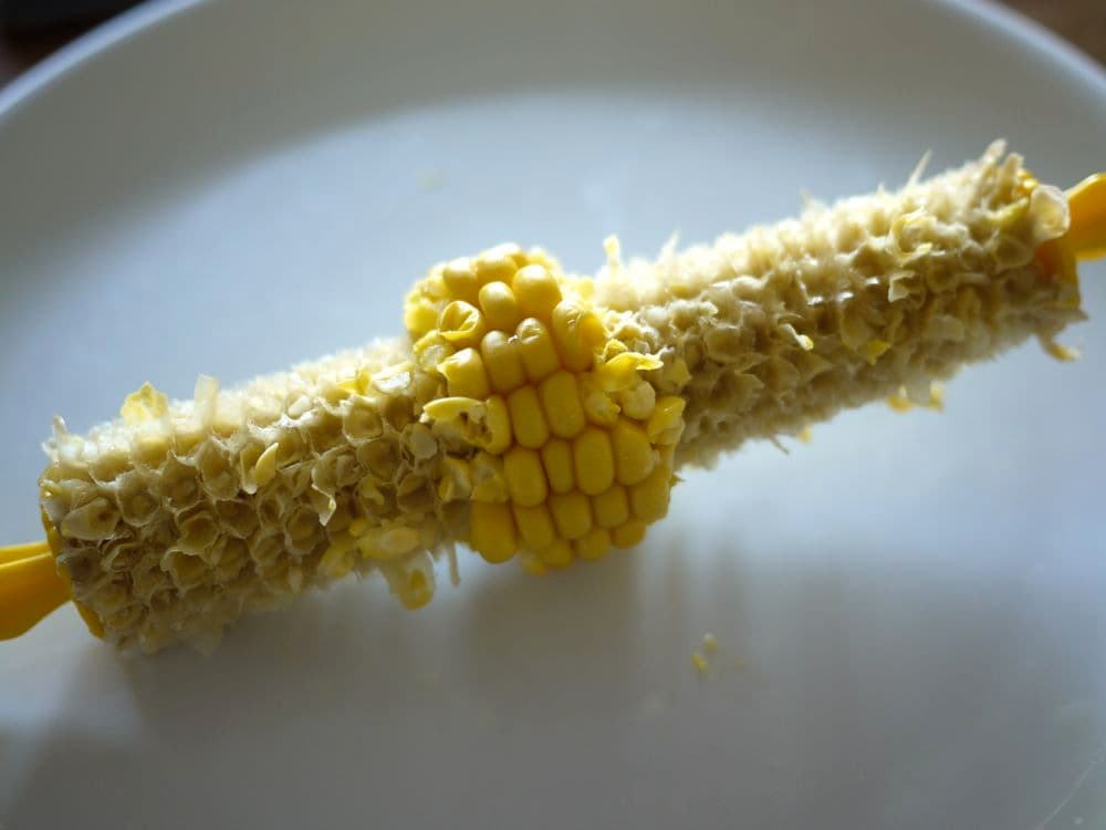 These Vomit-Inducing Photos Will Trigger Your Trypophobia