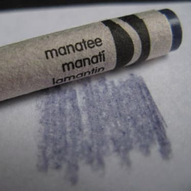 Best Crayola Crayon Color Names: List of Funny Crayon Names