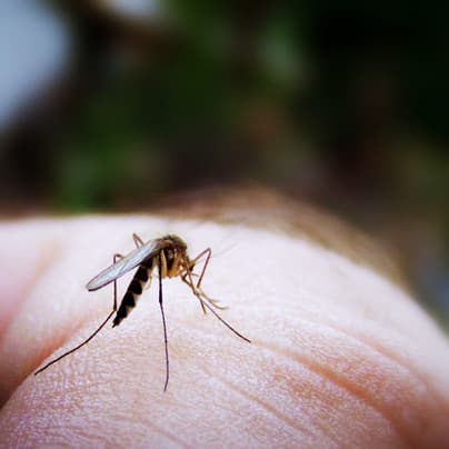 20 Inventive And Practical Uses For Coca Cola