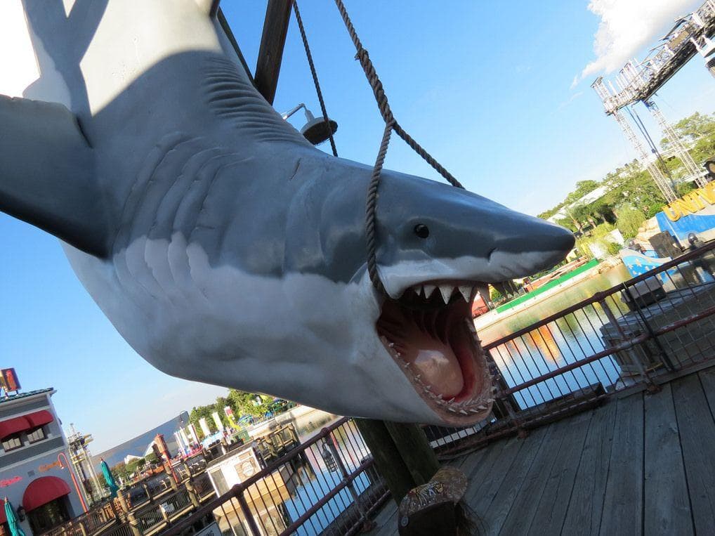 Universal Studios Theme Park Secrets