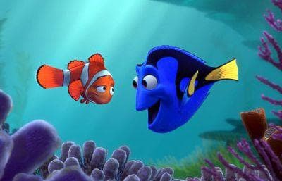 The Best 'Finding Nemo' Quotes, Ranked by Fans