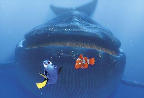The Best 'Finding Nemo' Quotes, Ranked by Fans
