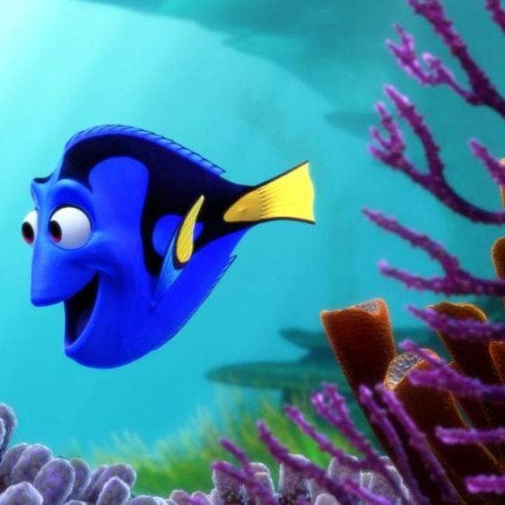The Best 'Finding Nemo' Quotes, Ranked by Fans