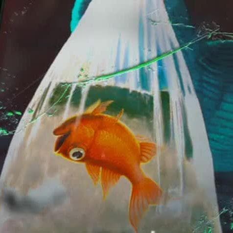 The Best 'Finding Nemo' Quotes, Ranked by Fans