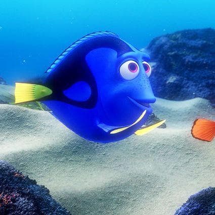 The Best 'Finding Nemo' Quotes, Ranked by Fans