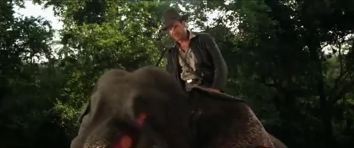 The 20+ Best Indiana Jones and the Temple of Doom Quotes