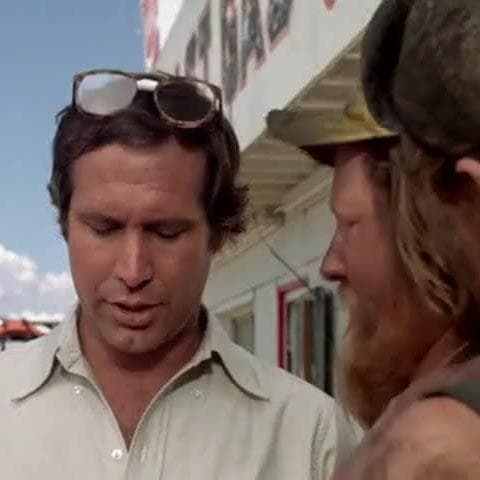 The Best National Lampoon's Vacation Quotes (1983)