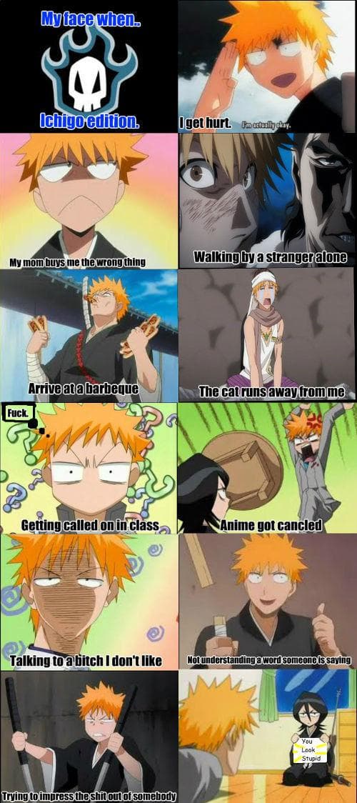 The Best Bleach Memes of All Time