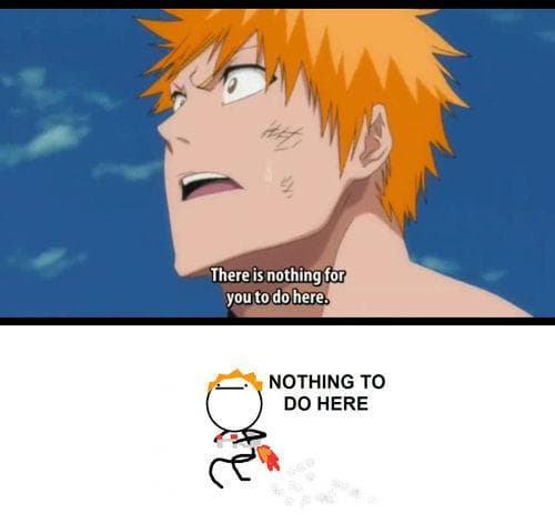The Best Bleach Memes of All Time