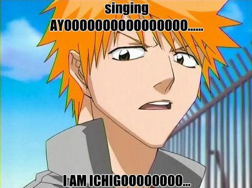 The Best Bleach Memes of All Time