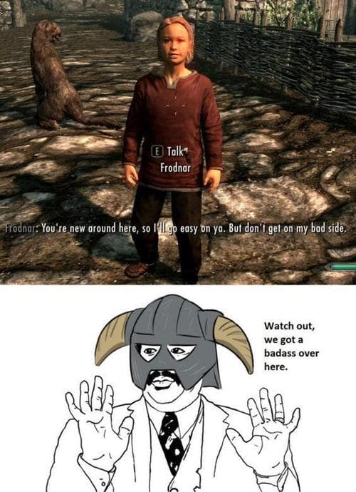 The Best Skyrim Memes on the Internet
