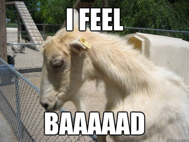 The Best Goat Memes, Jokes, And Puns