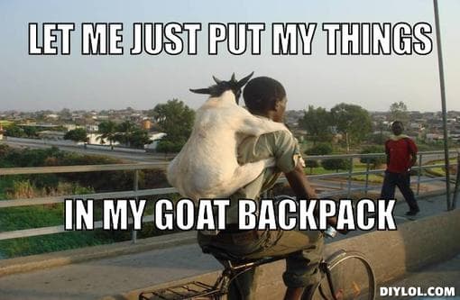 The Best Goat Memes, Jokes, And Puns