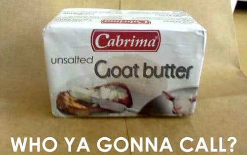The Best Goat Memes, Jokes, And Puns