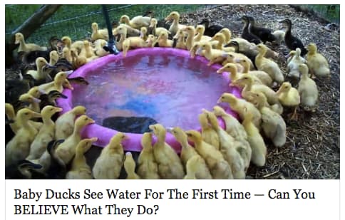 Best Click Bait | Most Awful Clickbait Headlines Which Actually Work