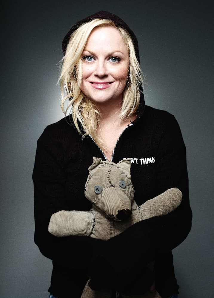 Amy Poehler High School