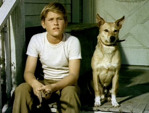 30 Photos of Kurt Russell When He Was Young