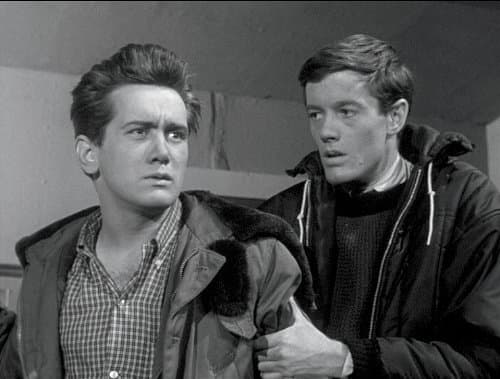 20 Photos of Martin Sheen When He Was Young