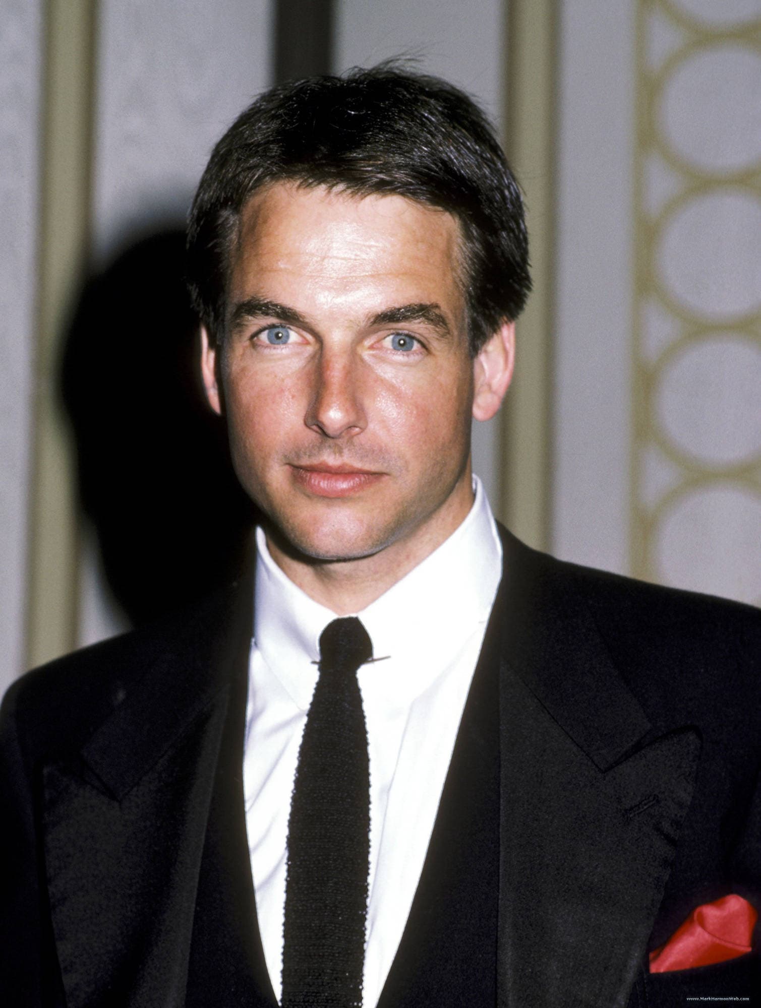 29 Pictures of Mark Harmon When He Was Young